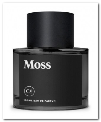 Moss Commodity Para Caballeros - EntreBellas